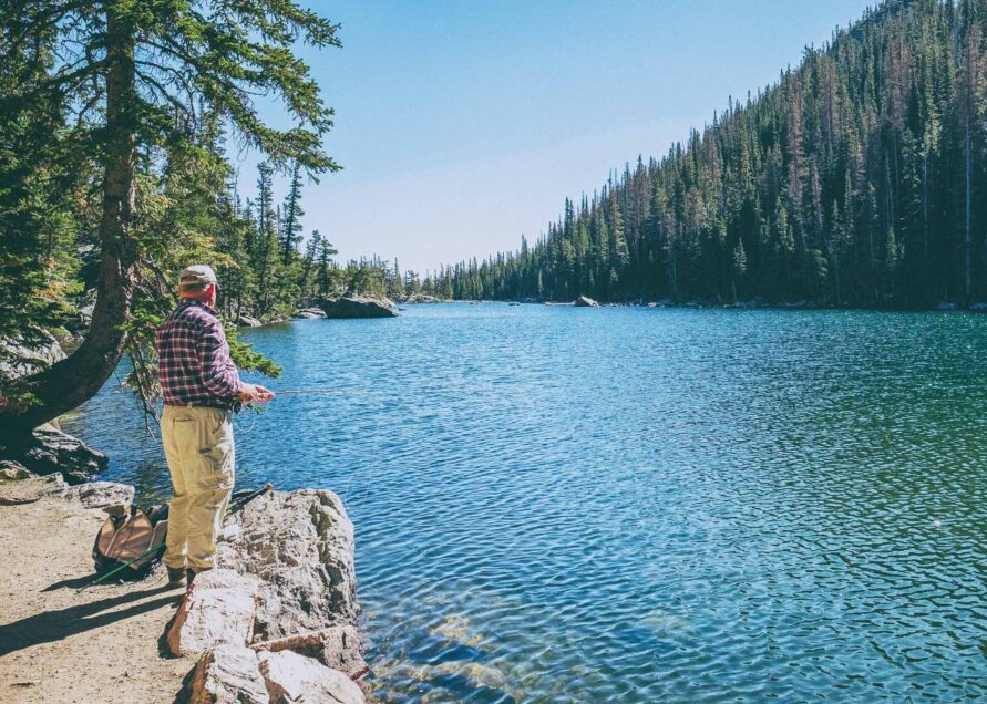 Home - Semaphore Farm
